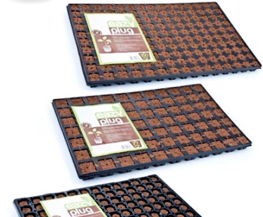 Dried Eazy Plugs Mistergreenvalencia.com